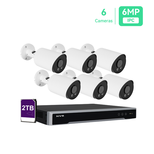 8CH 4K PoE IP Security Camera System with 6*6MP Bullet Cameras, 2TB HD ...